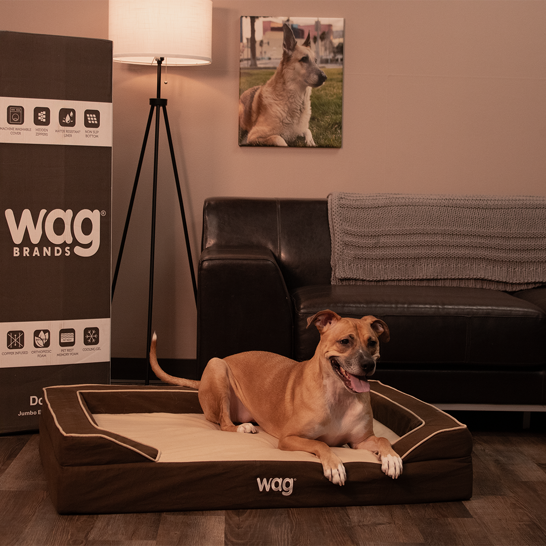 Pet Beds – Wag